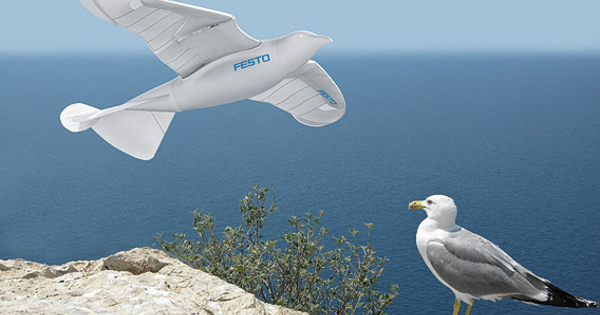 SmartBird - Mechatronischer Vogel lernt fliegen - Bilder - Elektroniknet