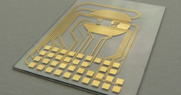 "Skin on a Chip" Avoids Animal Testing - International - Elektroniknet