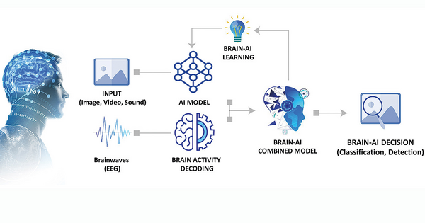 Das Gehirn anzapfen - Systeme & Anwendungen - Elektroniknet